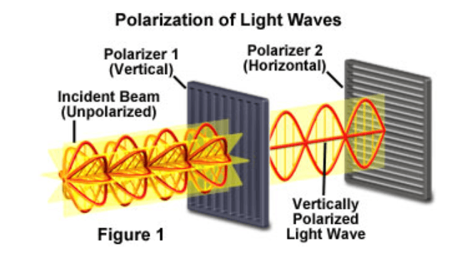 observer in quantum mechanics - Quantum Physics Lady